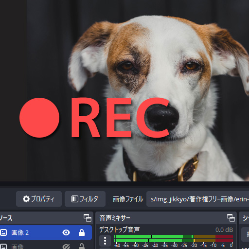 【安価キャプボ】HSV321 + OBSの使い方・設定方法